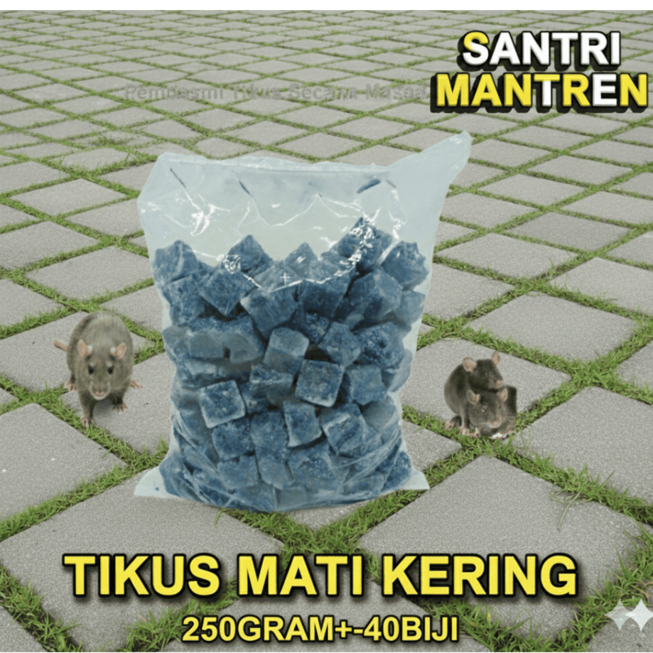 Jual Racun tikus super ampuh mati kering siap pakai Ractikus 0,005 ...