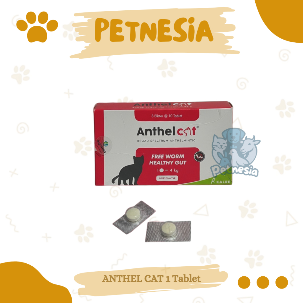 Jual ANTHEL CAT 1 Tablet Obat Cacing Spektrum Luas Untuk KUCING by ...