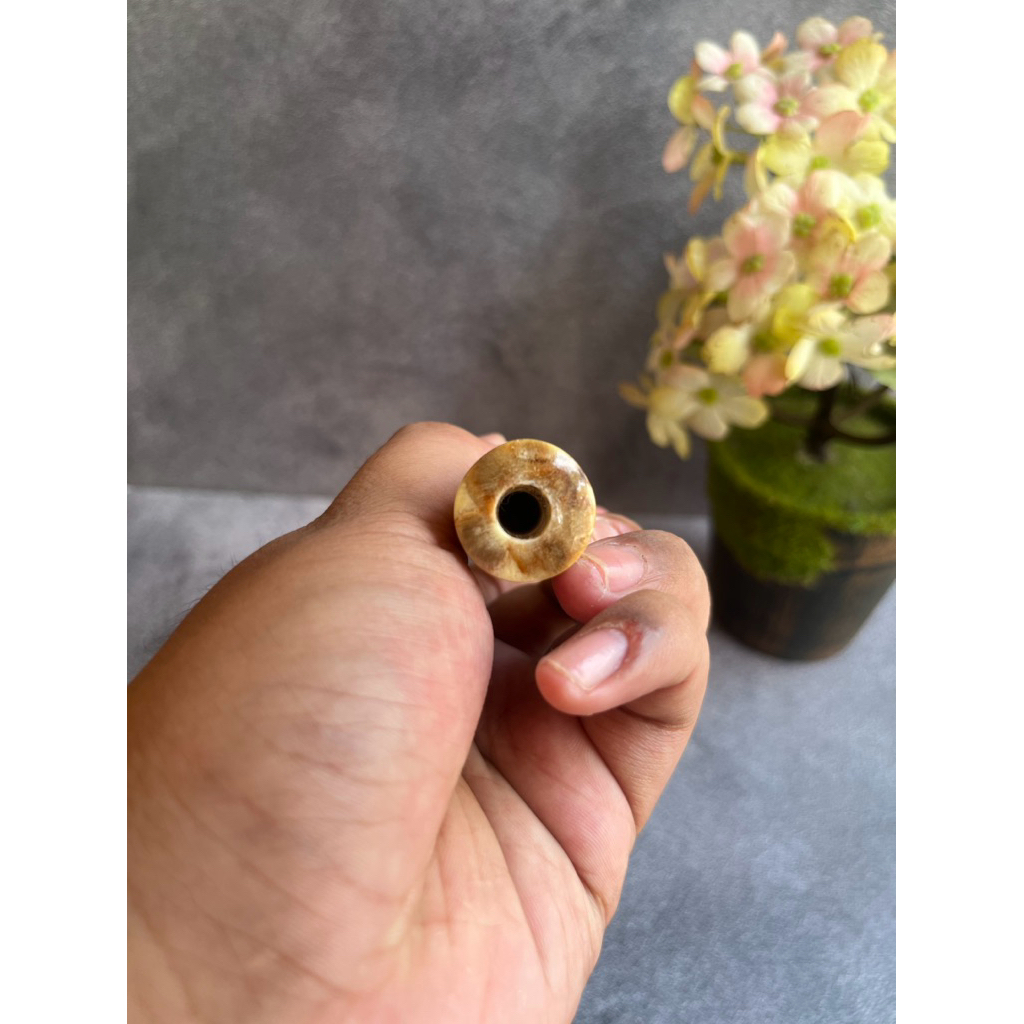 Jual once pipa moncong ikan marlin, once pipo cucuk marlin, once ...