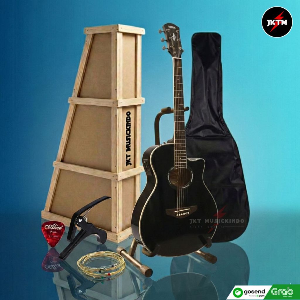 Jual Gitar akustik elektrik Tanam besi senar string APX-500ii custom ...