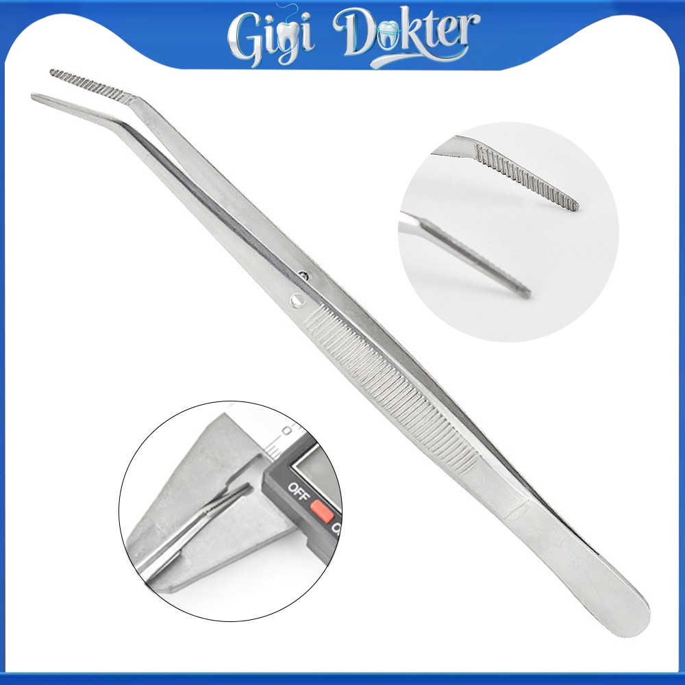 Jual Surgical Forceps Dental Cotton Tweezers Stainless Steel Clip Tool ...