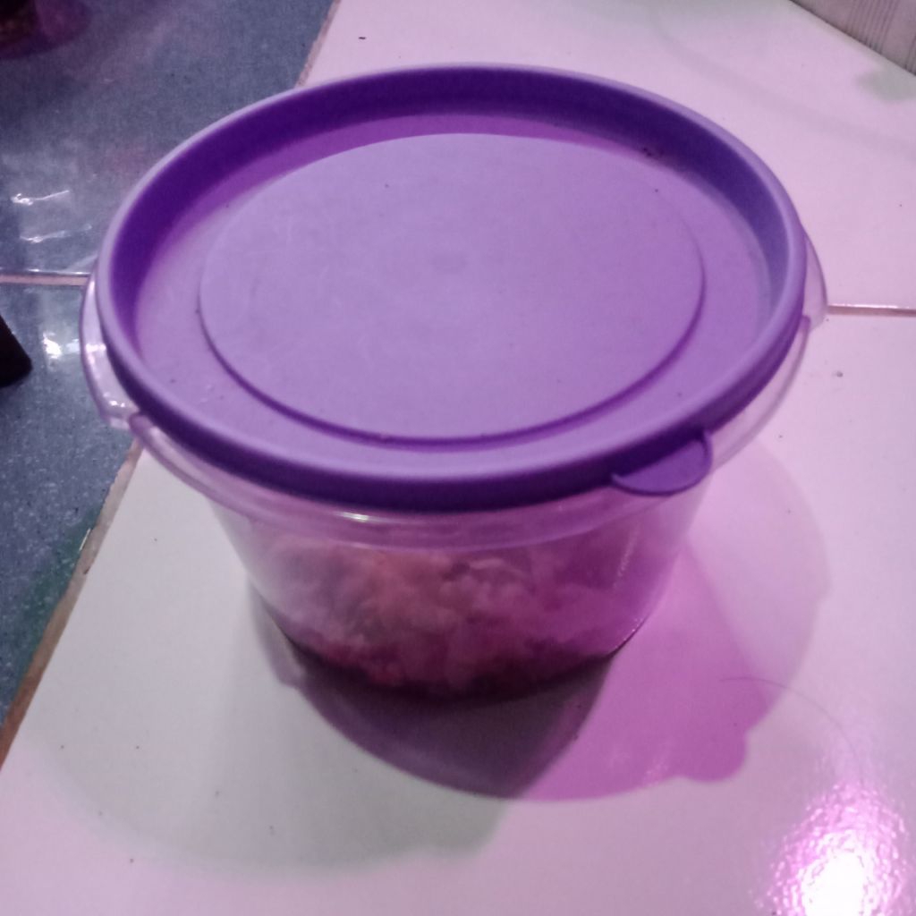 Jual TOPLES UNGGU | Shopee Indonesia