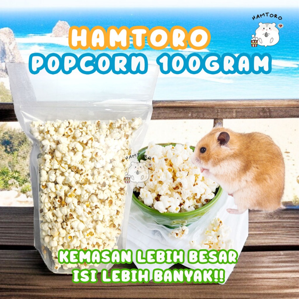 Jual Hamtoro / Popcorn Hamster 100g Makanan snack Hamster / Sugarglider ...