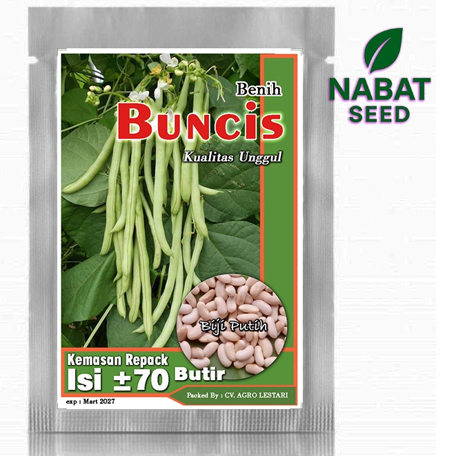 Jual Isi 70 Butir Benih Buncis biji putih Unggul | Bibit Buncis | Bibit ...