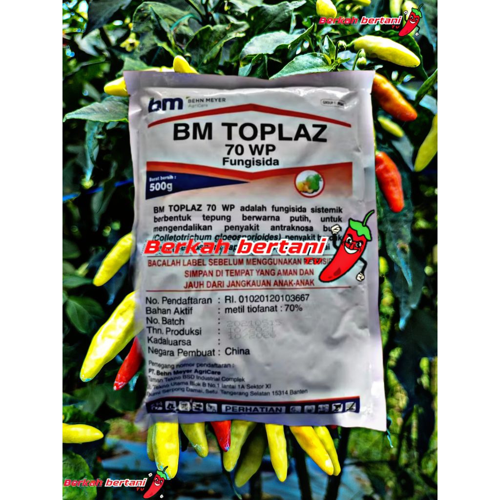 Jual BM TOPLAZ 70 WP 500GR Fungisoda Sistemik produk BEHN MAYET ...