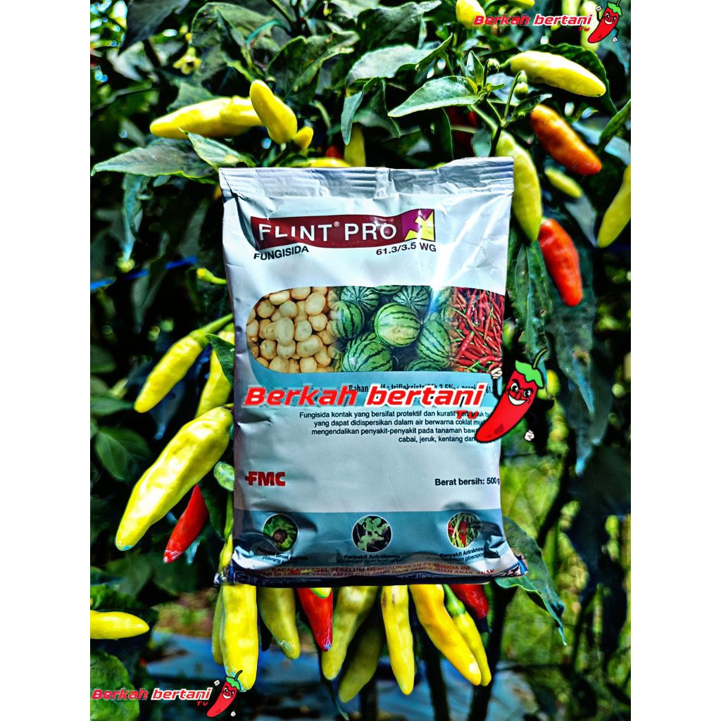 Jual FLINT PRO 16.3/3.5 WG 500GR Fungisida(spelialis busuk daun dan ...
