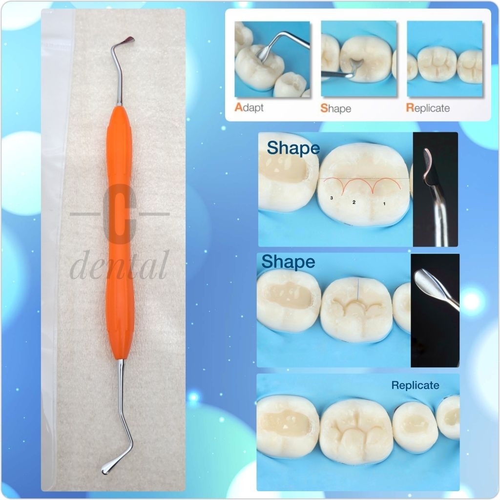 Jual Dental Replica Occlusal Pit Fissure Posterior Composite Shaping ...