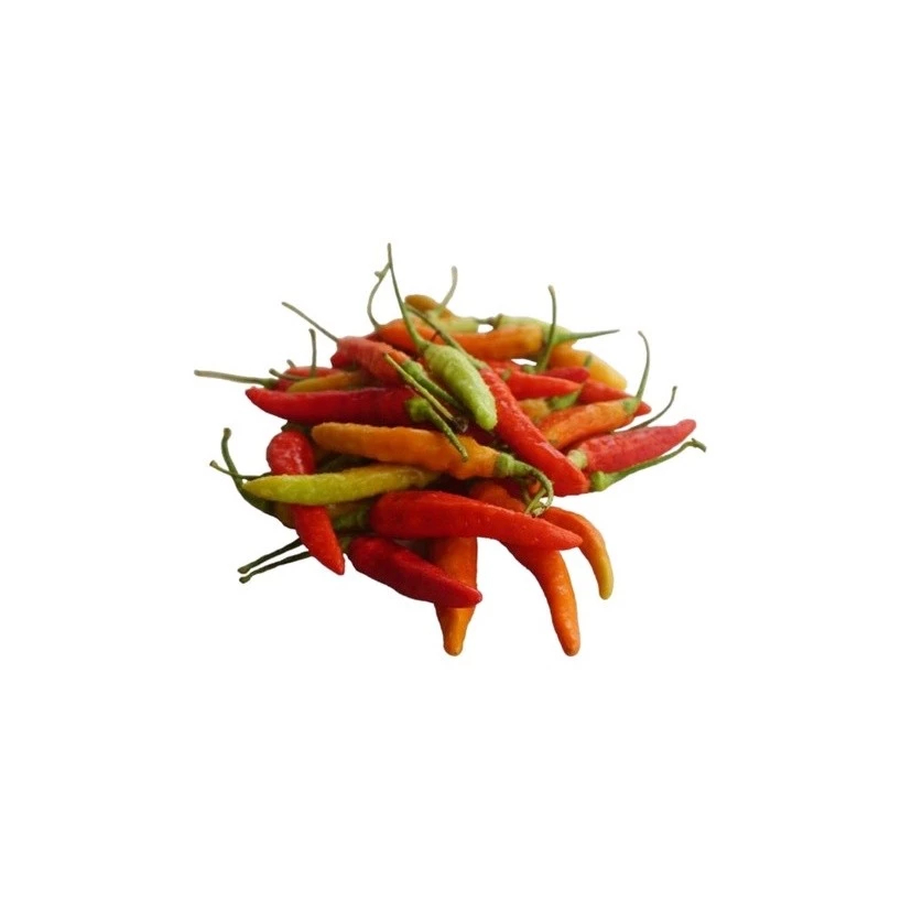 Jual Cabe rawit merah segar 500gram | Shopee Indonesia