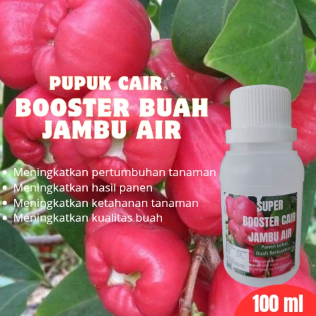 Jual Pupuk buah Jambu Air cair/pupuk booster jambu air Cair isi 100ml ...