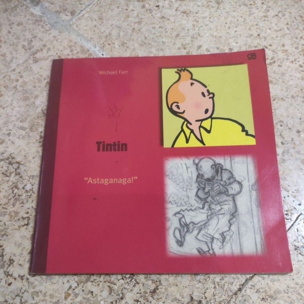 Jual buku tintin - astaganaga / michael farr / data book | Shopee Indonesia