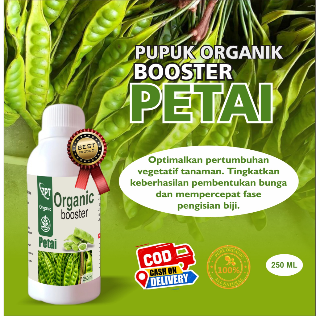 Jual Pupuk Pelebat Buah Pete cair 250ml, Pupuk Anti rontok pohon pete ...
