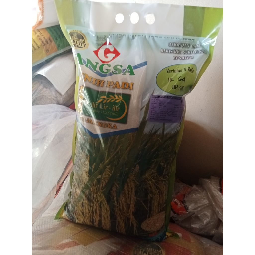 Jual Benih padi Ir 64 premium original 5 kg | Shopee Indonesia