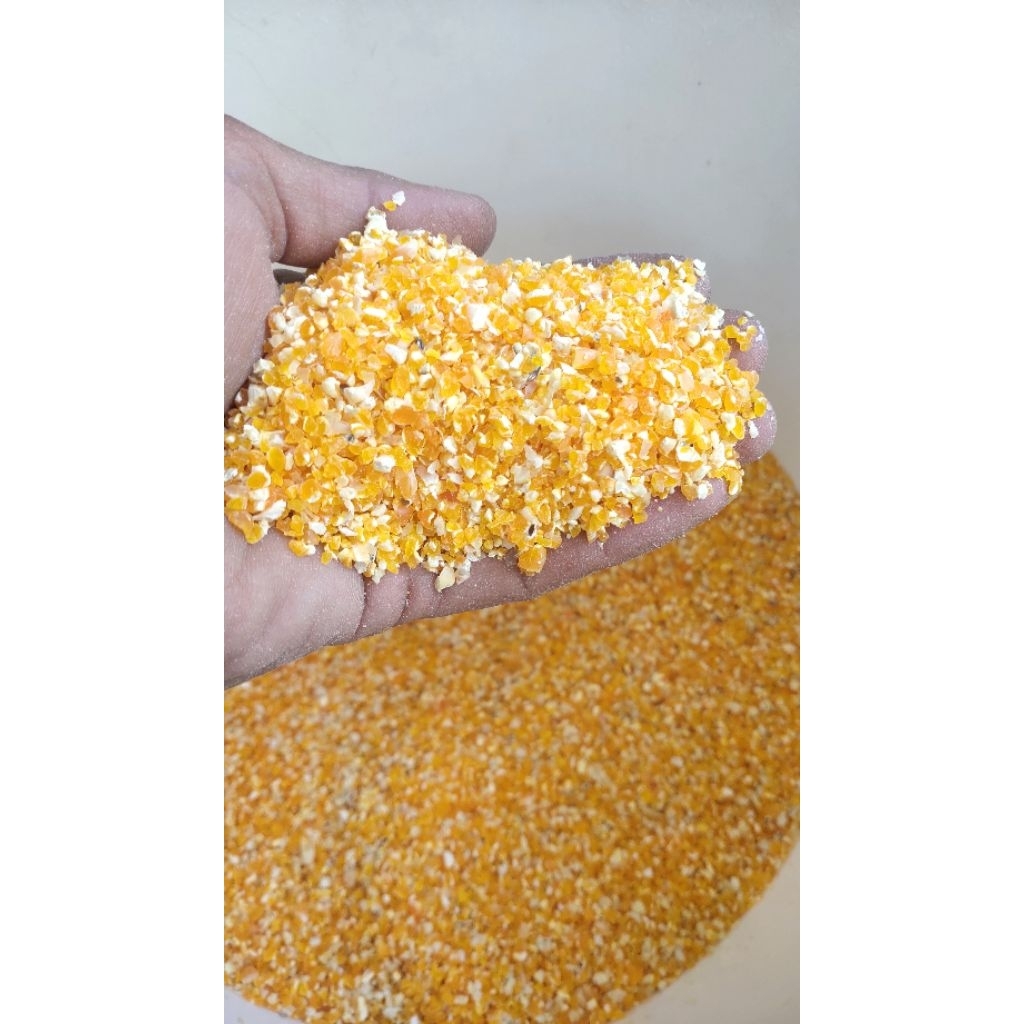 Jual menir jagung kemasan 1kg | Shopee Indonesia