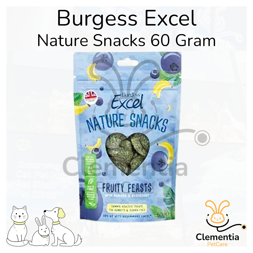 Jual Burgess Excel Nature Snacks 60gr Fruity Feast - Healthy Treat ...