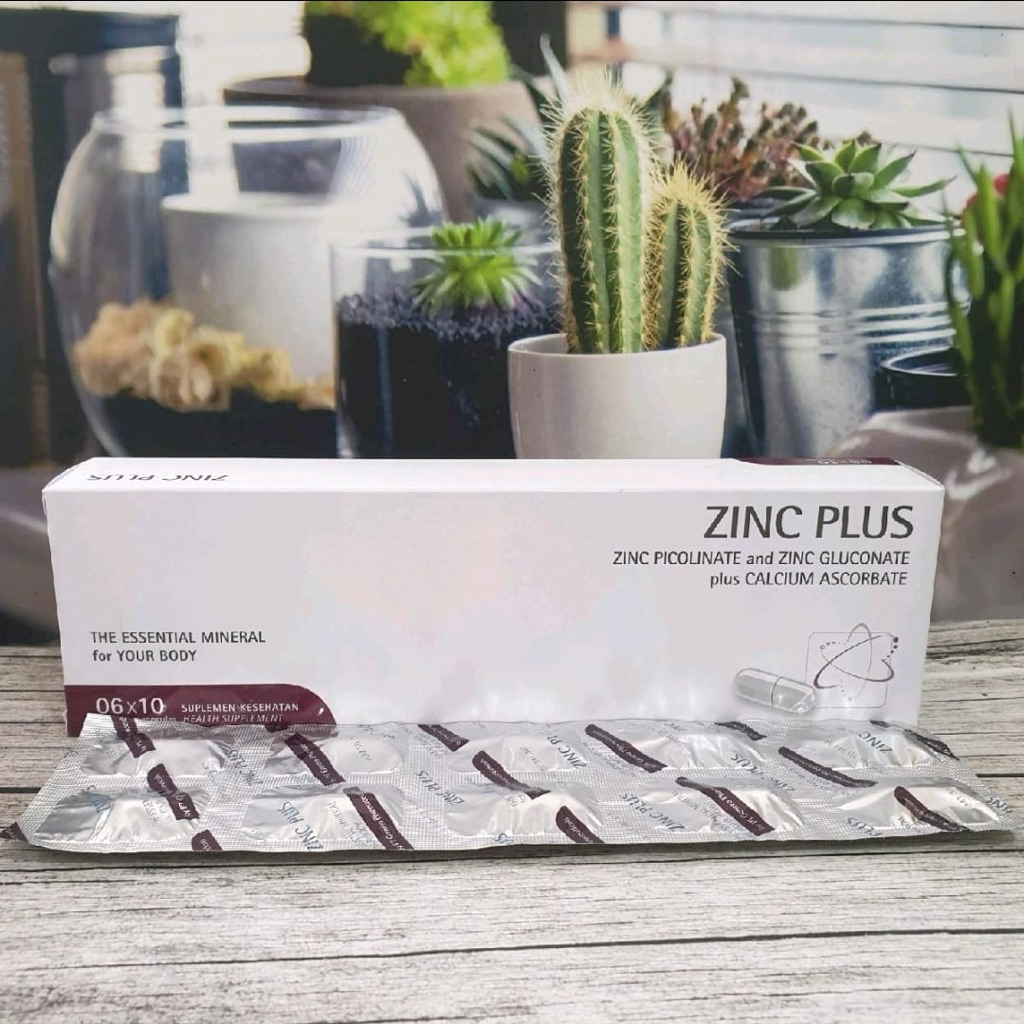 Jual Zinc Plus Kapsul per 1 Strip 10s (HALAL) - Esensial Mineral Zinc ...