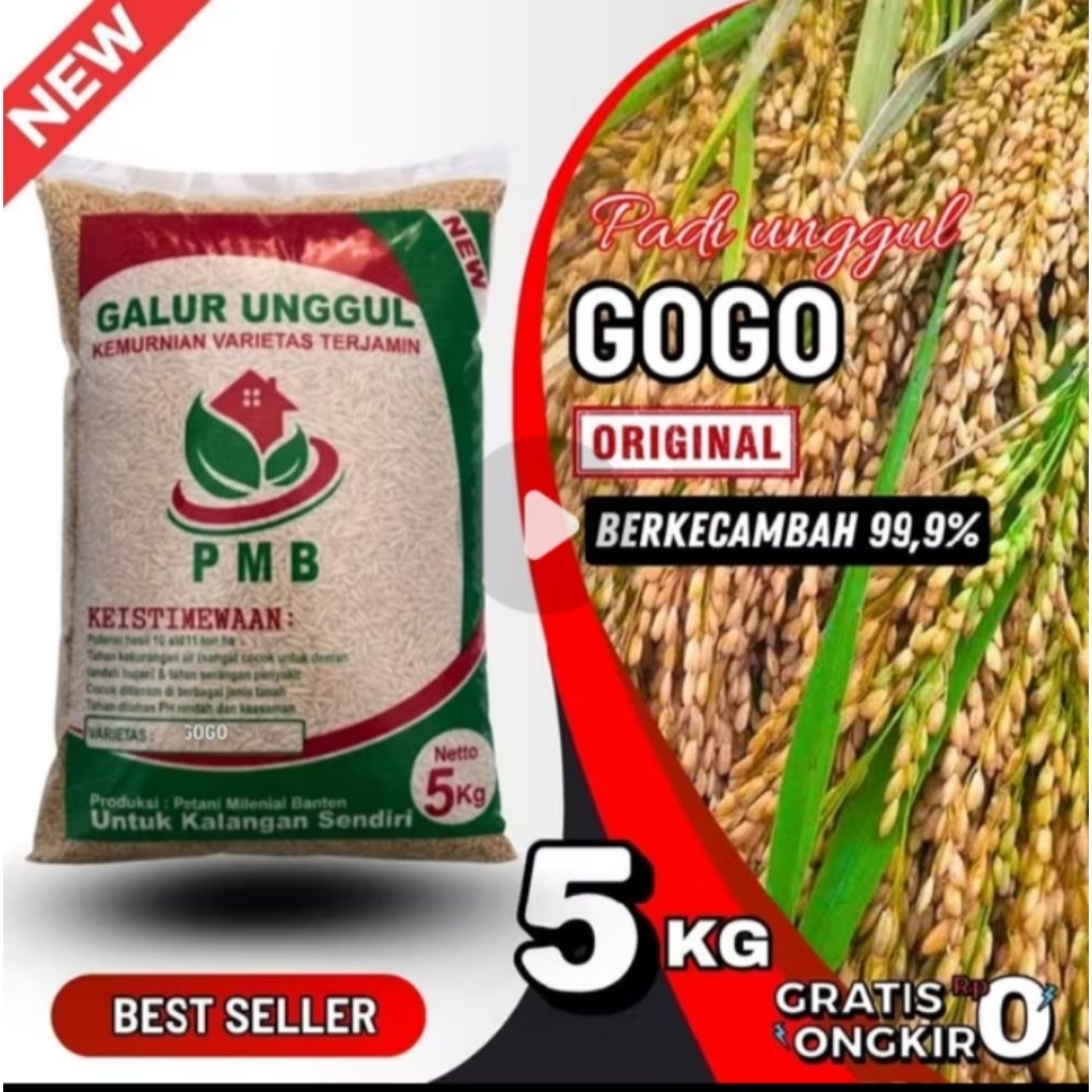 Jual Benih Padi Darat Gogo/Huma kemasan 5kg | Shopee Indonesia