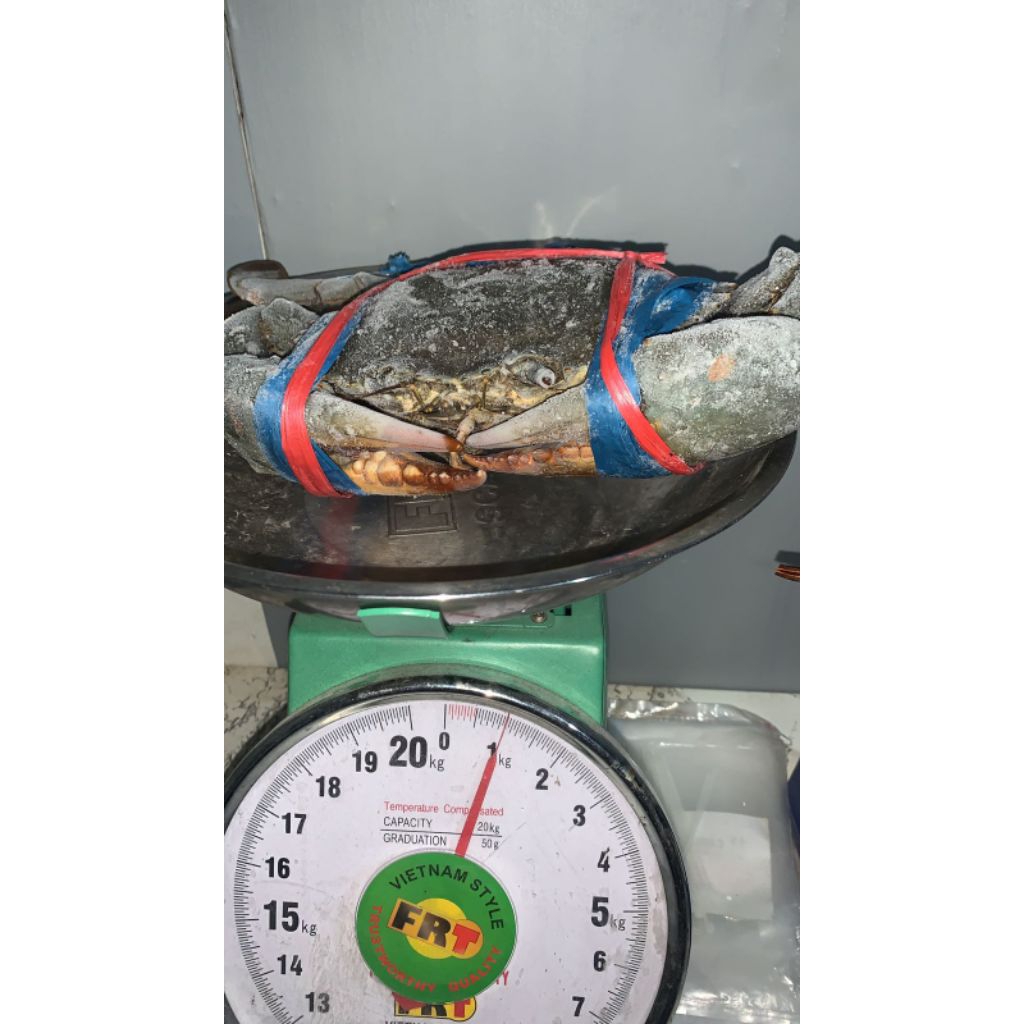 Jual FROZEN KEPITING JANTAN SIZE 1KG (tidak bertelur) | Shopee Indonesia