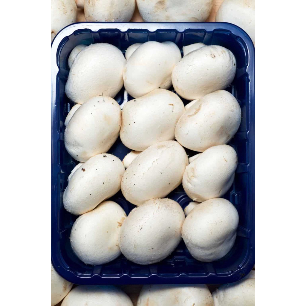 Jual Jamur Champignon 150G | Shopee Indonesia