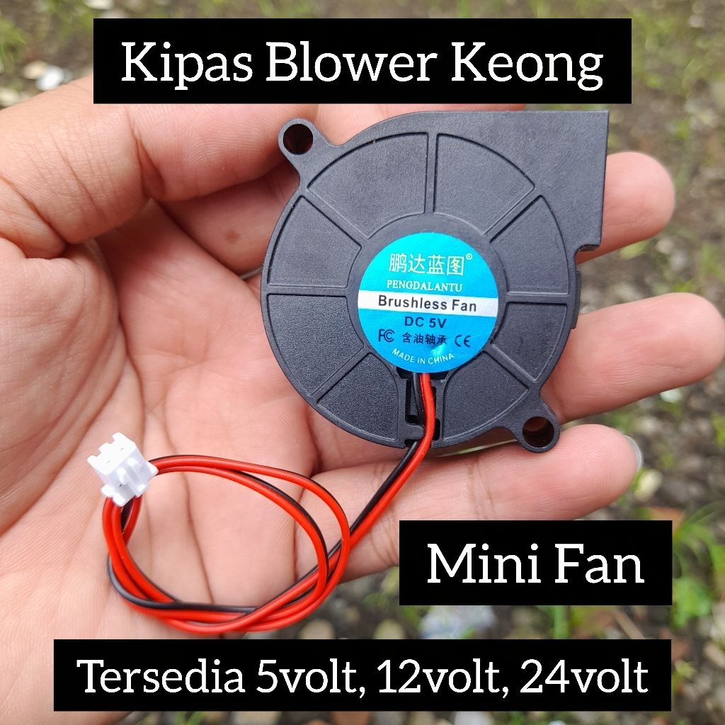 Jual Mini Blower Fan Kipas Keong Brushless DC Angin Cooling Cooler 2Pin ...