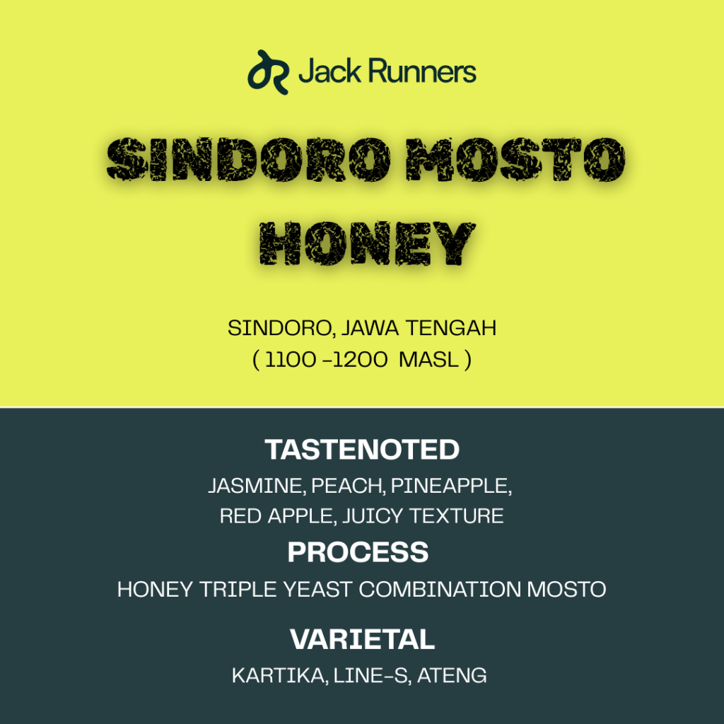 Jual JACK RUNNERS ROASTERY - SINDORO MOSTO HONEY GREEN BEANS COFFEE 1KG ...