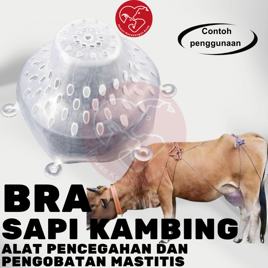 Jual Bra Sapi dan Kambing Untuk Sapih, Pencegahan dan Pengobatan ...