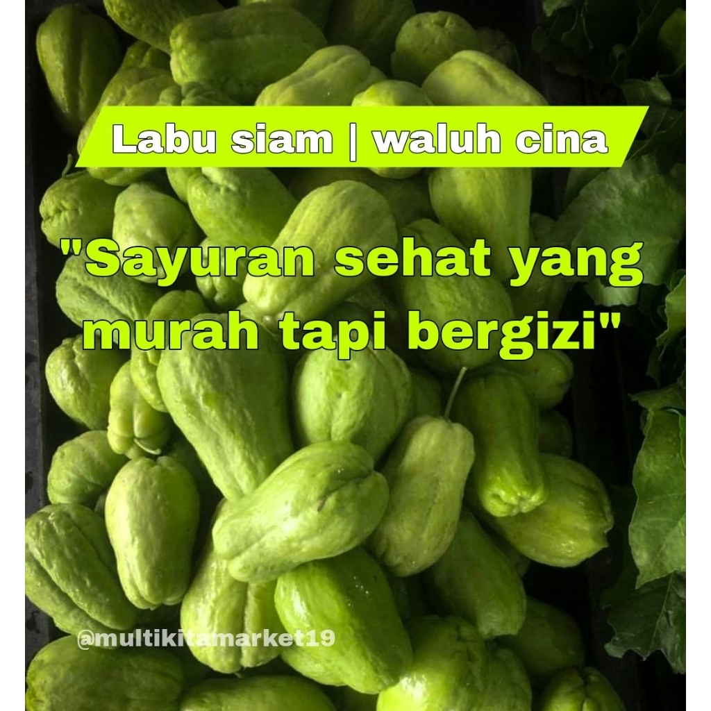 Jual 1 Kg Labu siam | waluh china SEGAR | FRESH | Shopee Indonesia