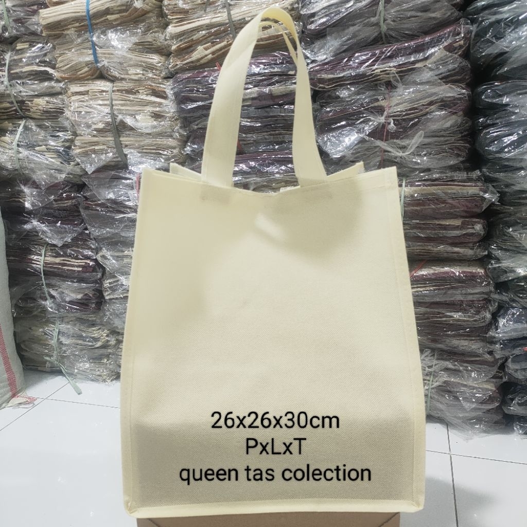 Jual Goodie bag Big Size Tebal ORI 100Grm uk.26x26x30cm (PxLxT ...