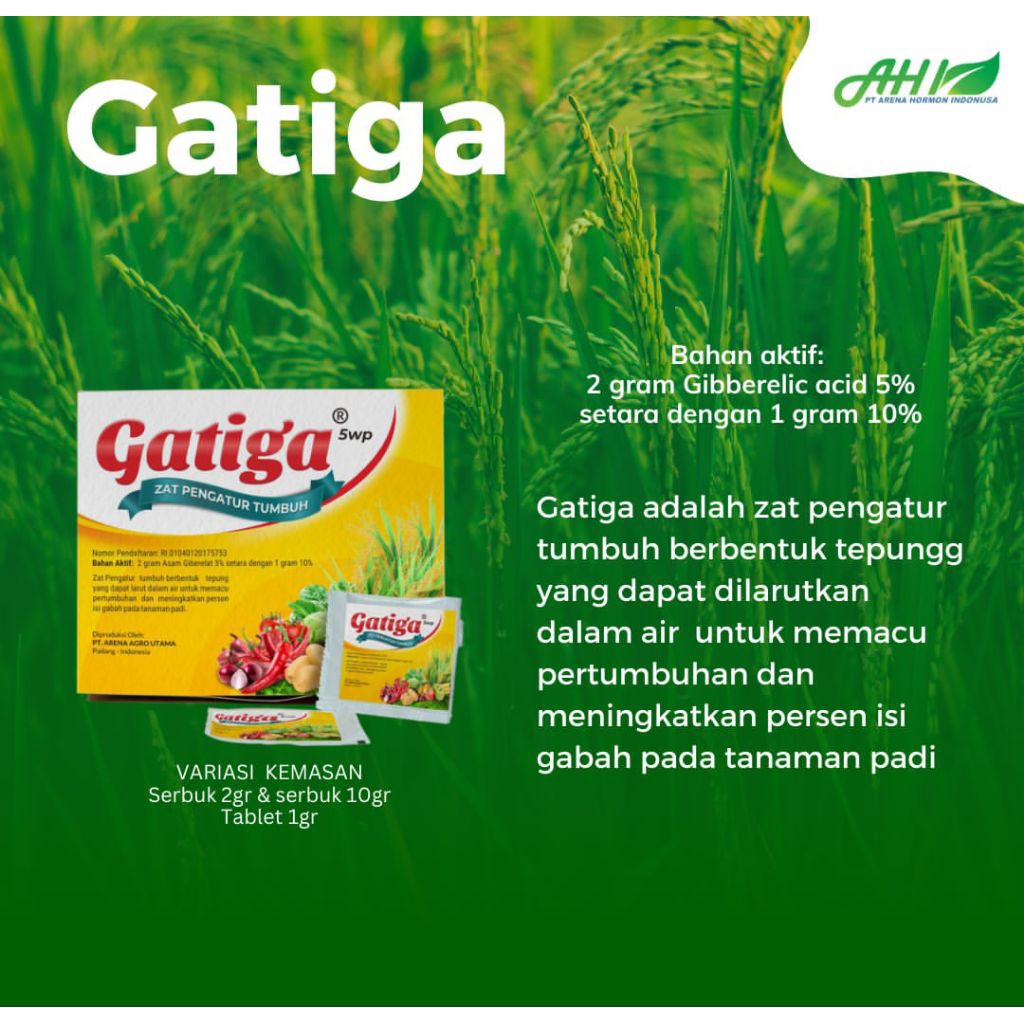 Jual Gatiga 5 WP Asam Giberelat - Hormon Giberelin ZPT Pertumbuhan Buah ...