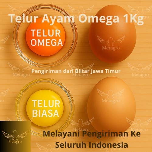 Jual TELUR AYAM OMEGA METAGRO 1Kg ISI 16 BUTIR | Shopee Indonesia