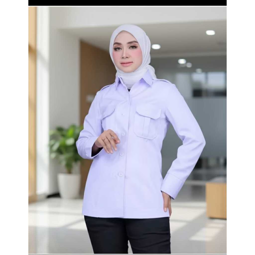 Jual Kemeja Dinas Formal - Seragam PNS/ASN/PDH/PDL Pemda Pria dan ...