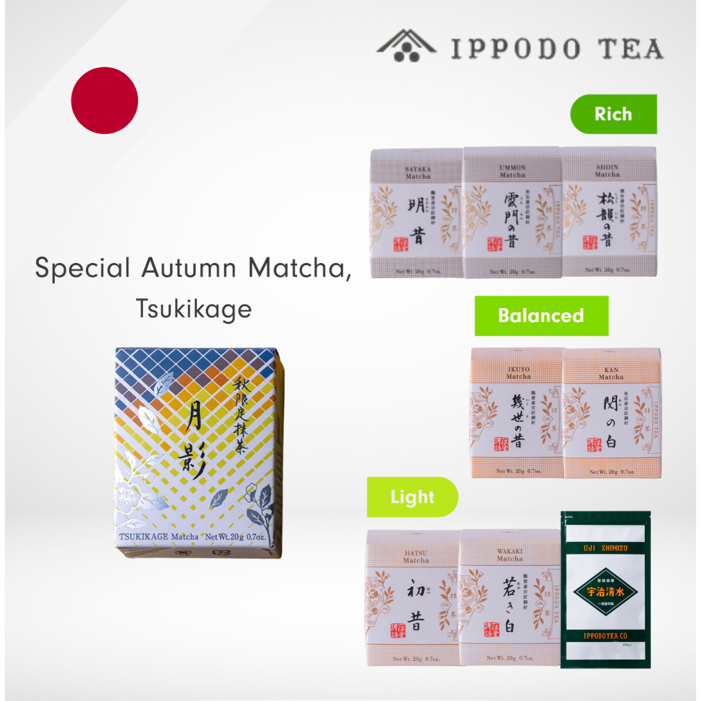Jual [READY] MATCHA Ippodo Matcha | HATSU | WAKAKI | SAYAKA | SHOIN ...