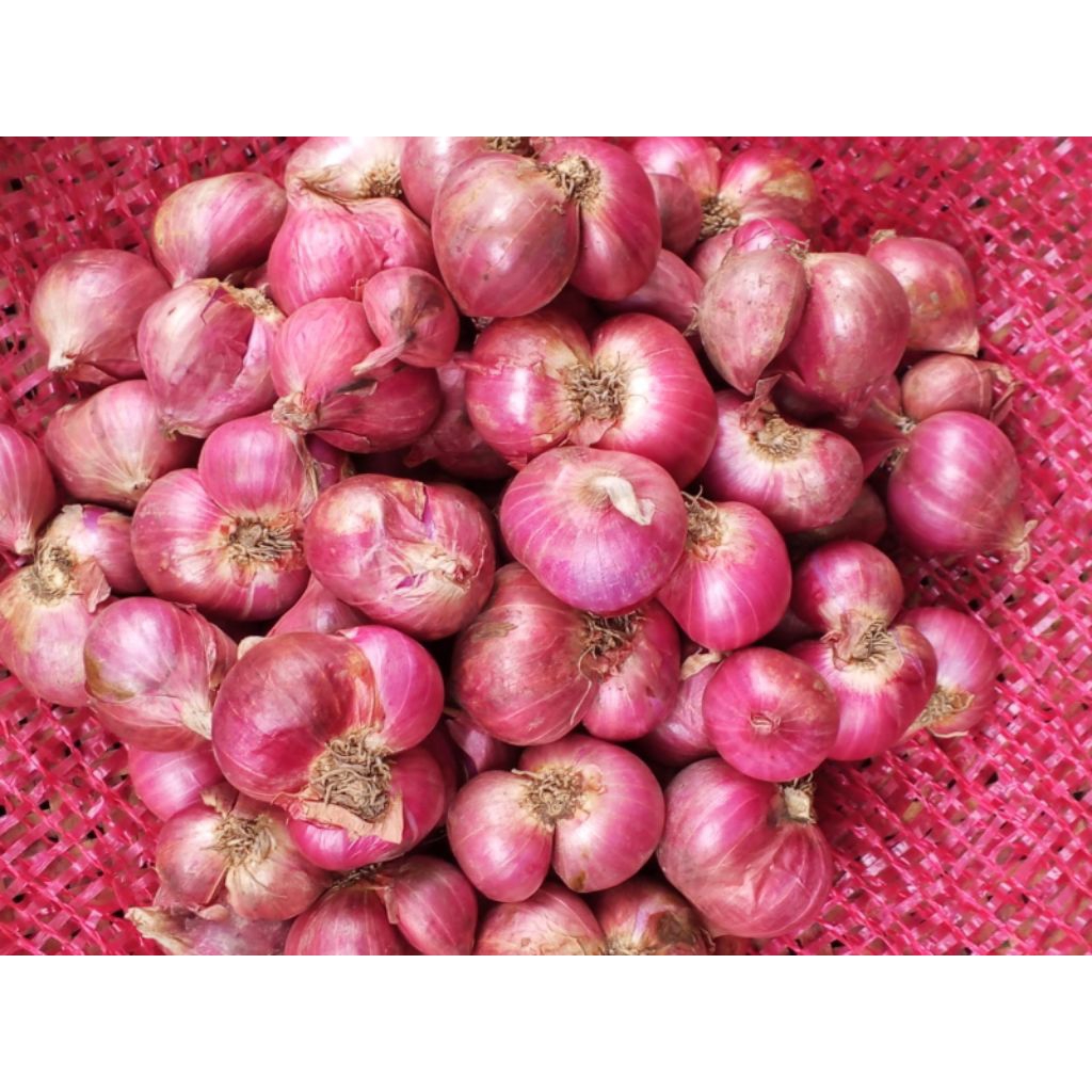 Jual Bawang Merah Segar 1kg - Ukuran Besar, Segar, Tahan Lama Cocok ...