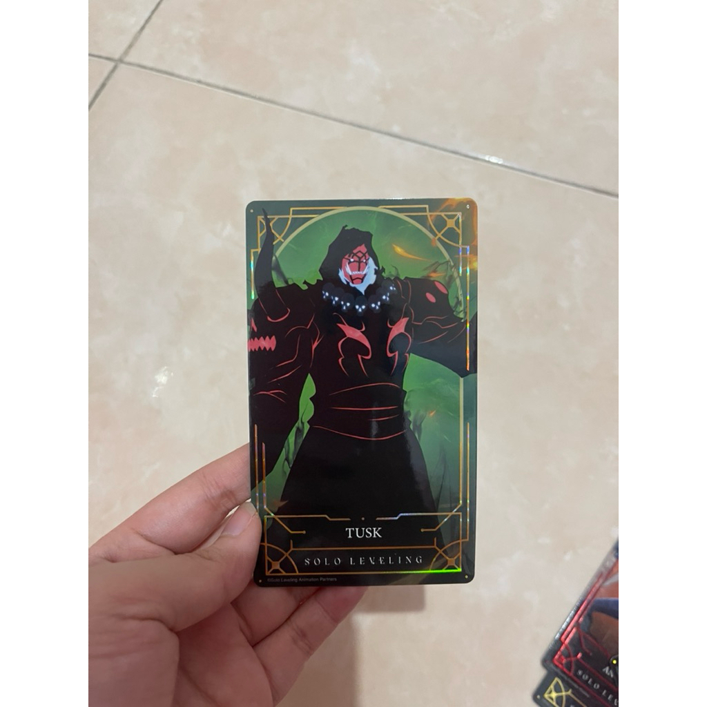 Jual SOLO LEVELING INDOMARET COLLECTIBLE TAROT CARD | Shopee Indonesia