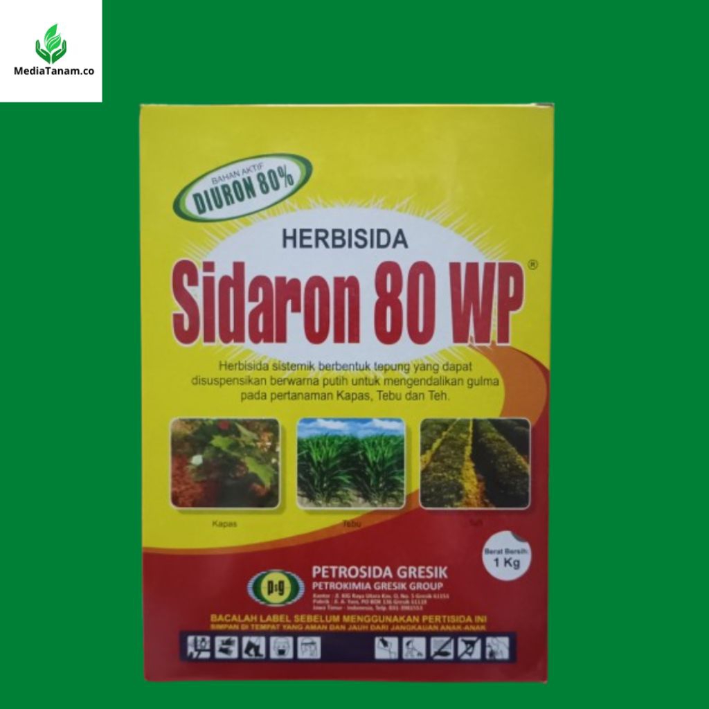 Jual HERBISIDA Sidaron 80WP 1Kg - Sistemik, Selektif, Efektif untuk ...
