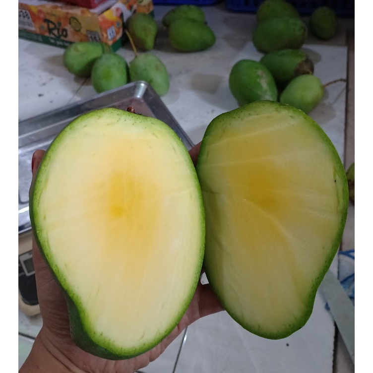 Jual mangga madu anggur 1kg isi 2-3-4 | Shopee Indonesia