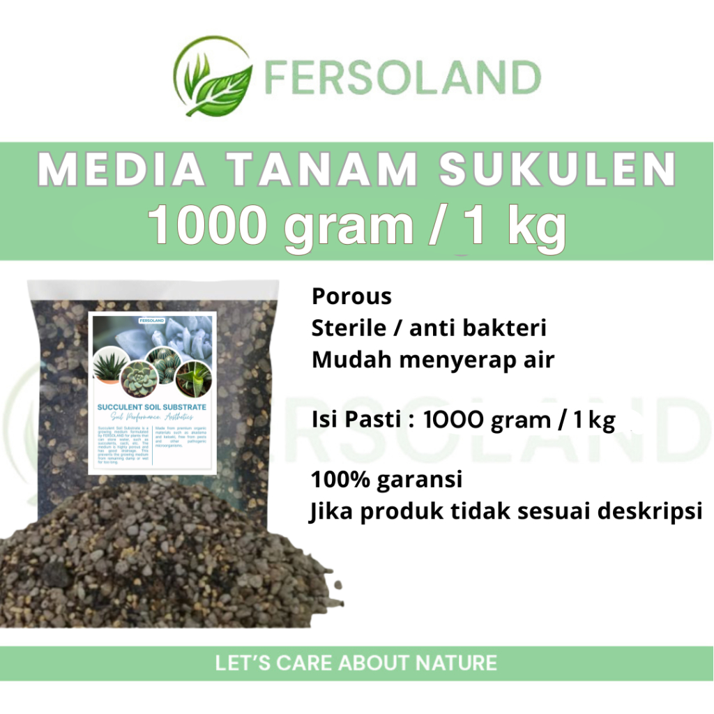 Jual Media tanam kaktus 1kg | media tanam sukulen echeveria | media ...