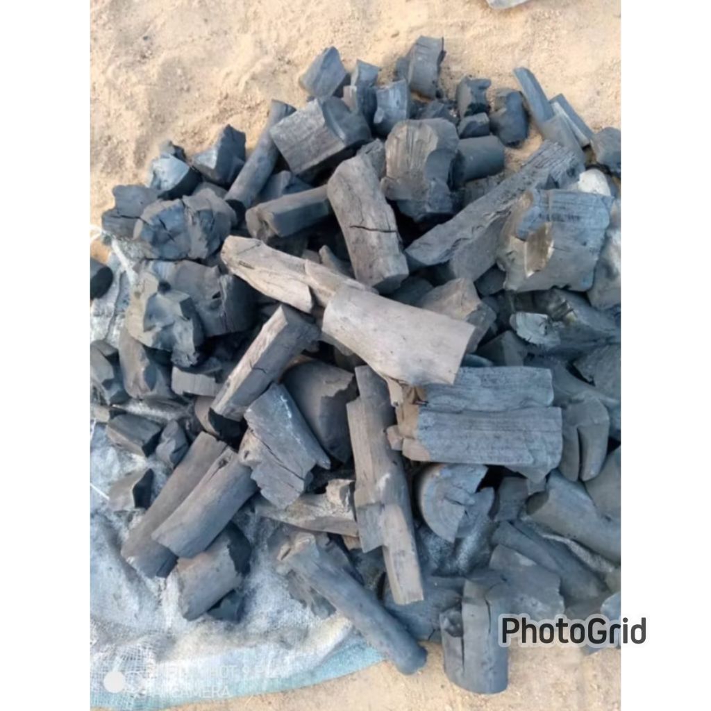 Jual Arang areng kayu bakar SS isi 1kg | Shopee Indonesia