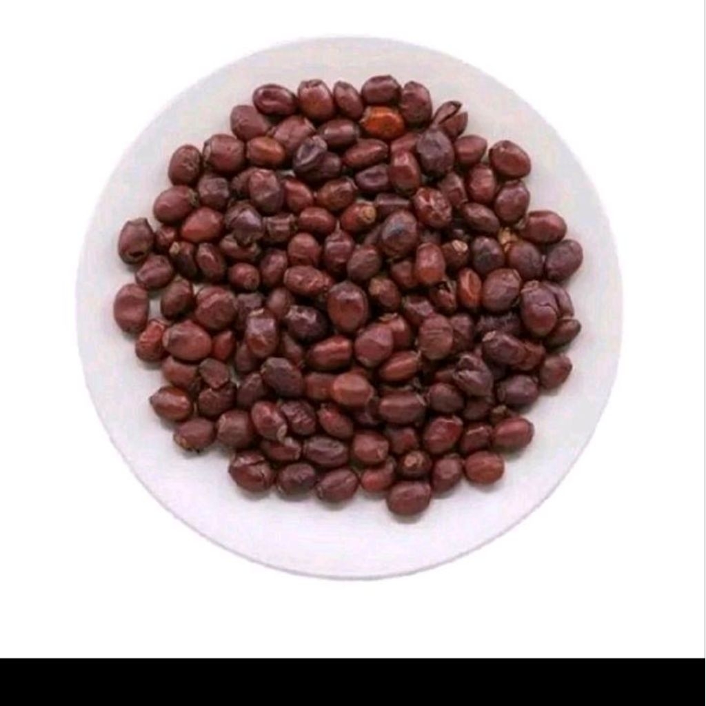 Jual Benih tanaman leci/lychee biji | Shopee Indonesia