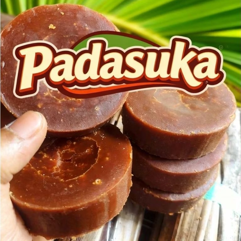 Jual GULA AREN ASLI 100% ORGANIK / GULA KAWUNG KEMASAN 1 KG | Shopee ...