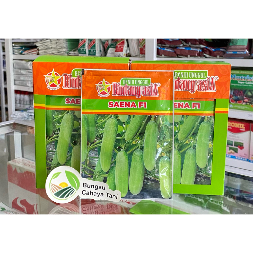 Jual Benih Timun SAENA F1 20gr Bintang Asia | Shopee Indonesia