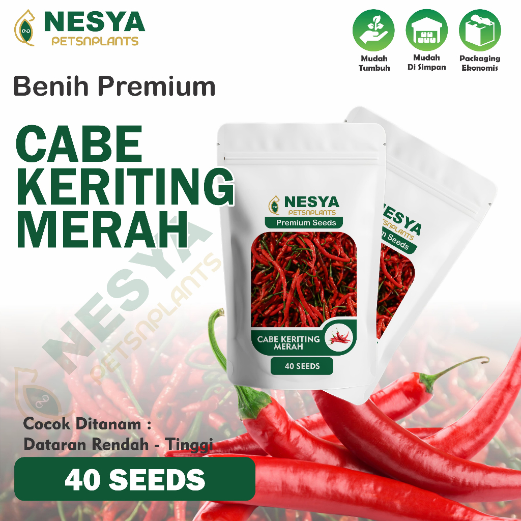 Jual 40 Benih Cabe Keriting Sayuran Cabai Unggul Berkualitas - Benih ...