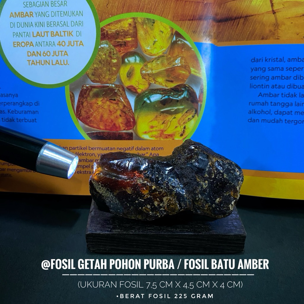 Jual Fosil Getah Pohon Purba Natural C10 atau Batu Fosil Amber Temuan ...