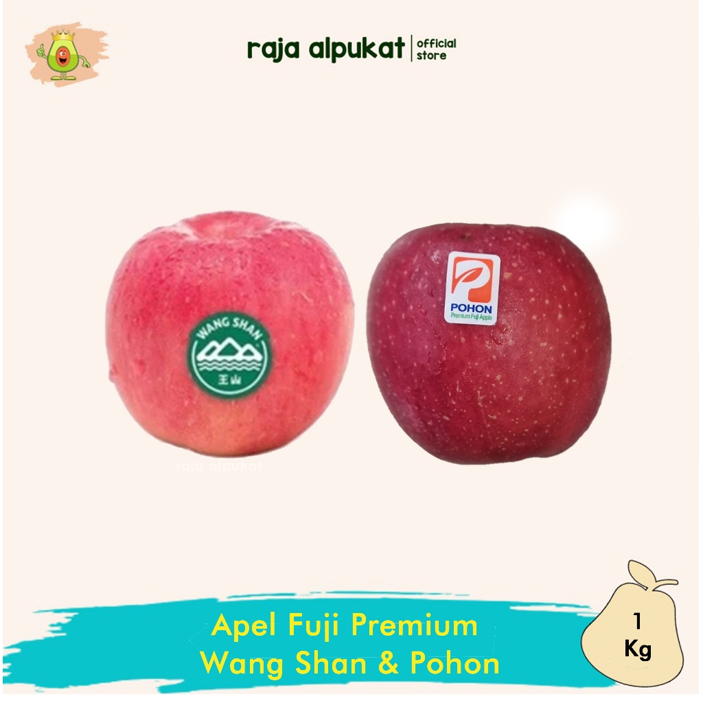Jual Apel Fuji Premium Wang Shan I POHON - Raja Alpukat | Shopee Indonesia