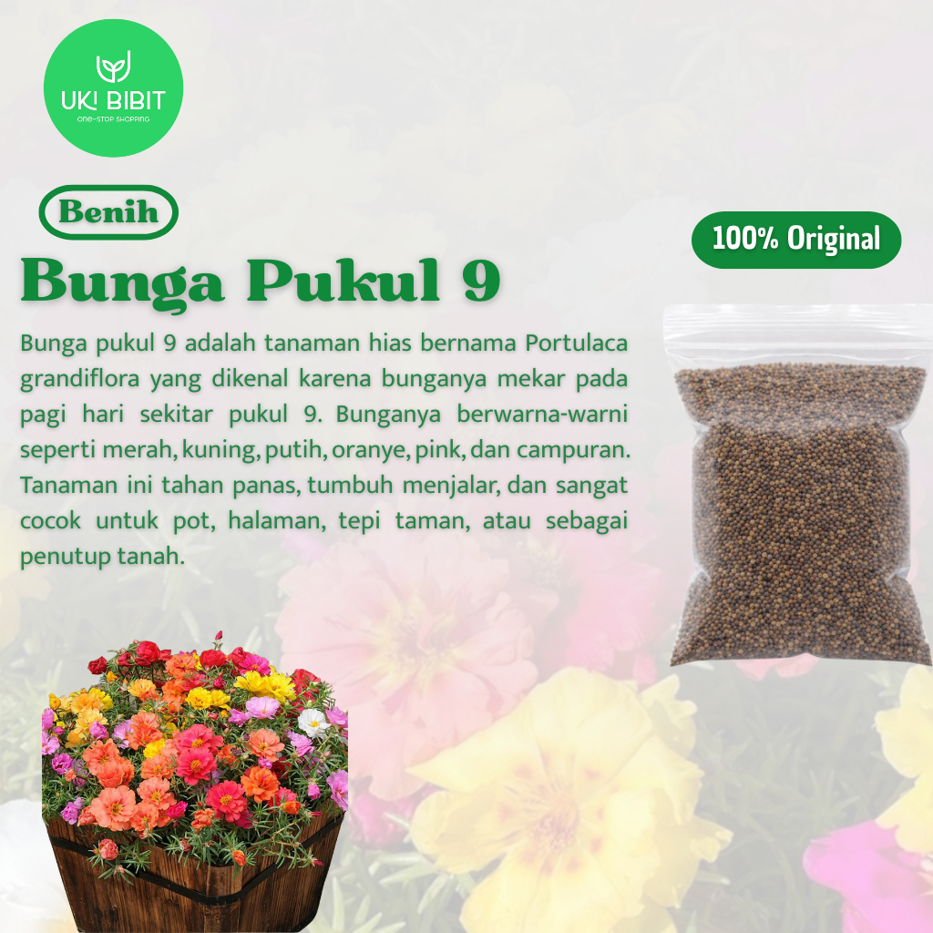 Jual Bunga Pukul 9 Terlengkap & Harga Terbaru Mei 2026 | Shopee Indonesia