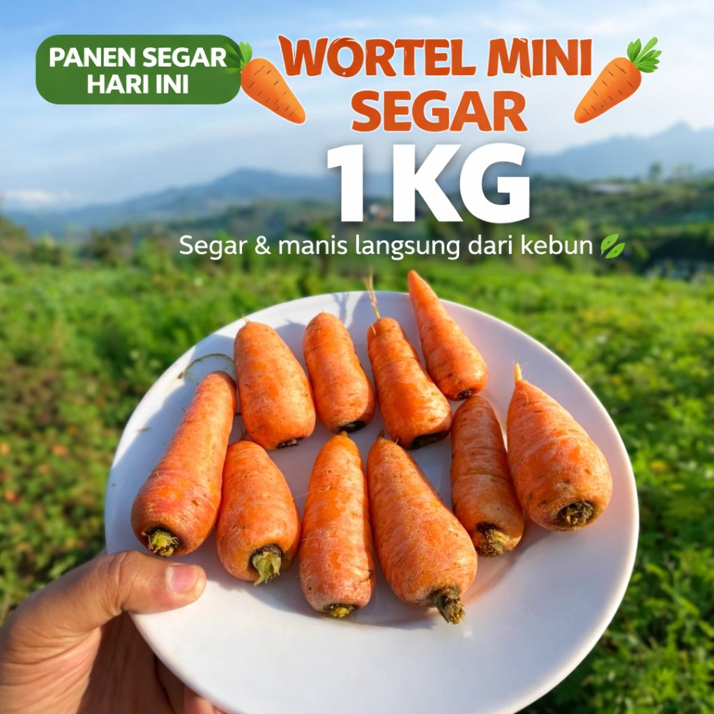 Jual Wortel 1 Kg Terlengkap & Harga Terbaru April 2026 | Shopee Indonesia