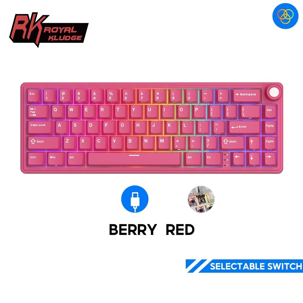 Jual Royal Kludge RK R65 Black 66 key Wired Gaming Keyboard | Shopee ...