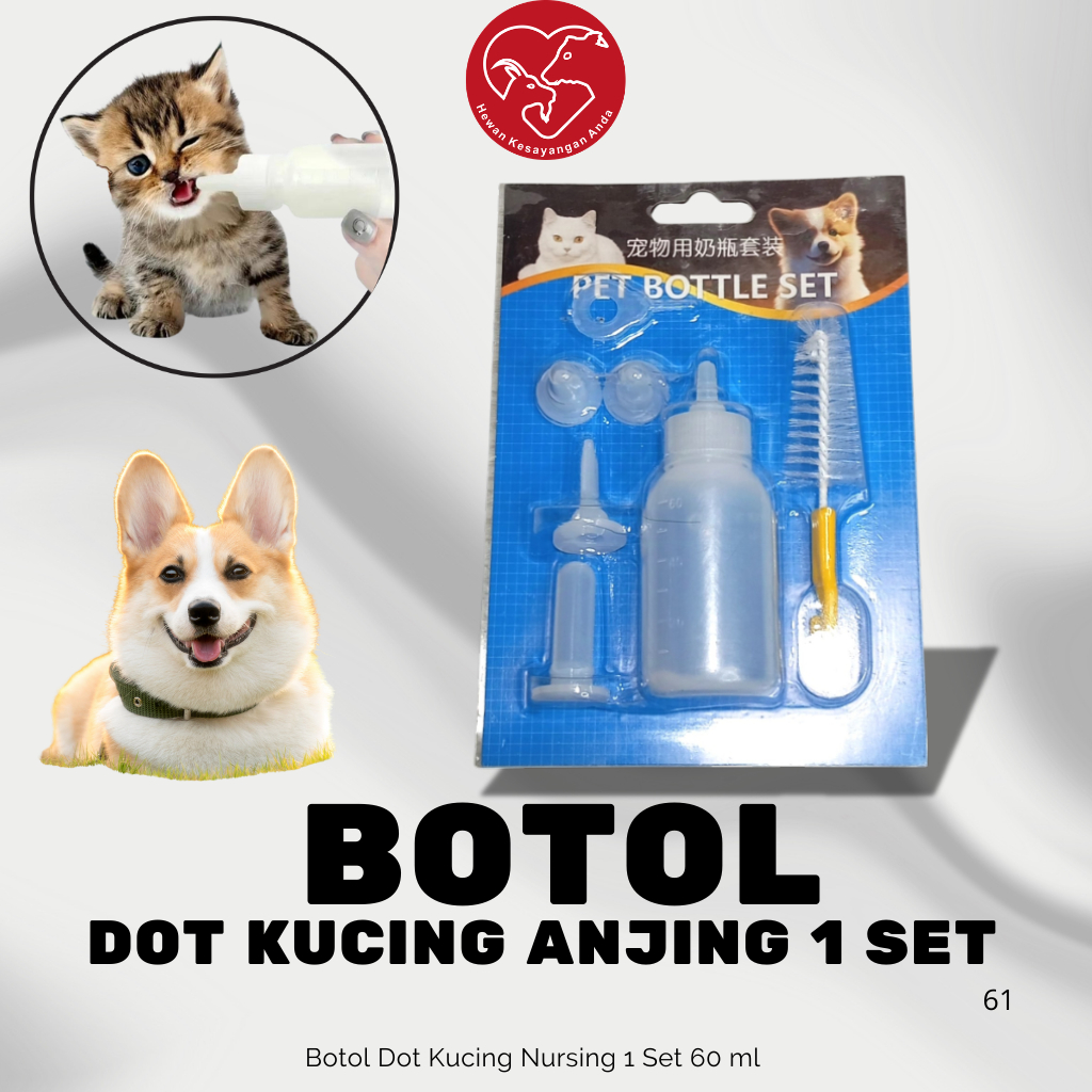Jual Botol Dot Kucing Nursing Set Botol Kucing Anjing 60ml Botol Dot ...