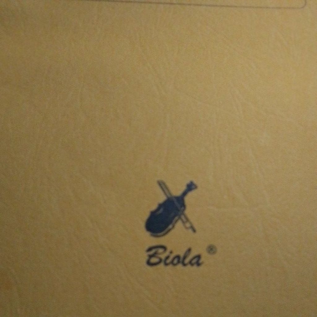 Jual Map Biola Tulang Kertas Warna | Shopee Indonesia