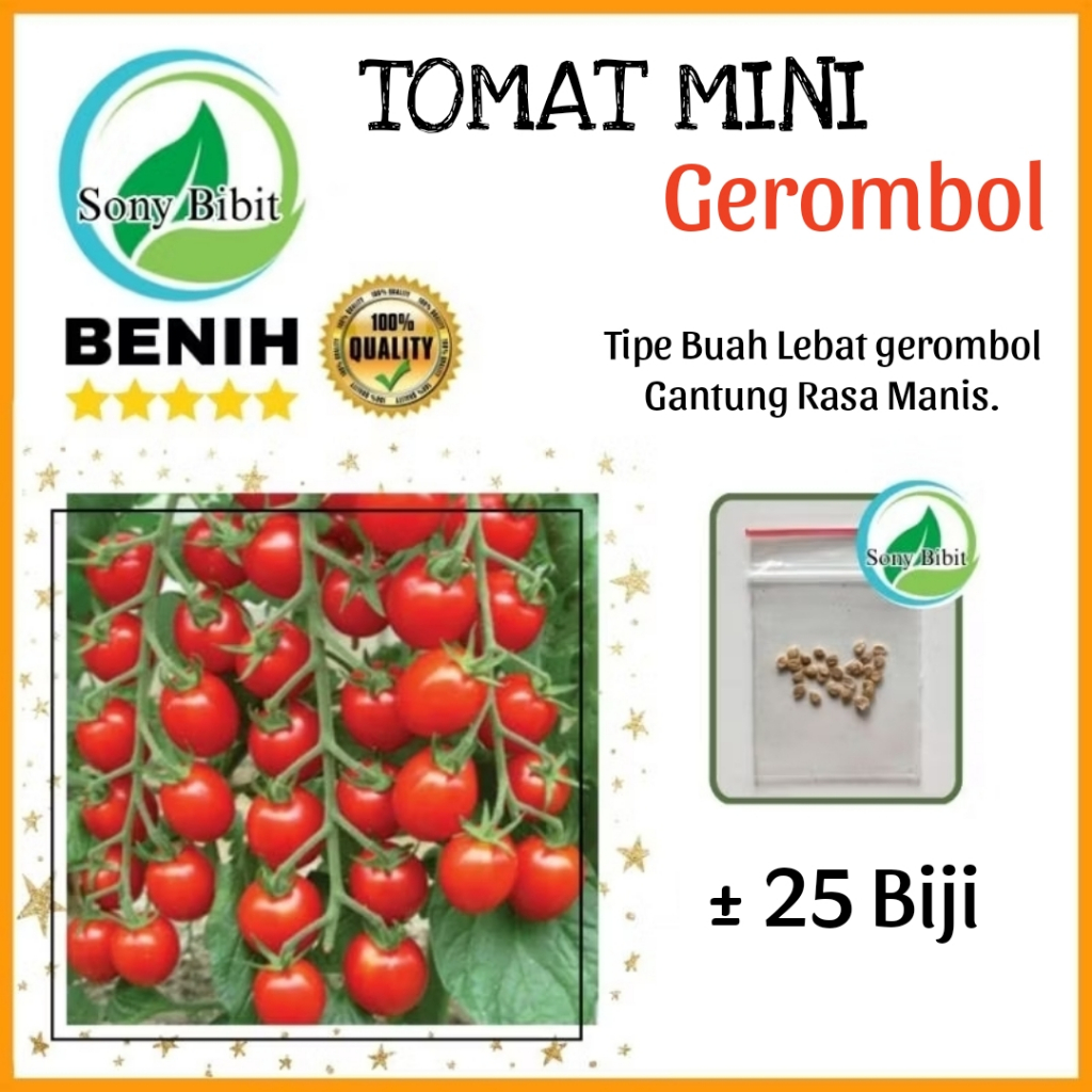 Jual Bibit Tomat Cherry Mini cungg Gerombolan andalan petani | Shopee ...