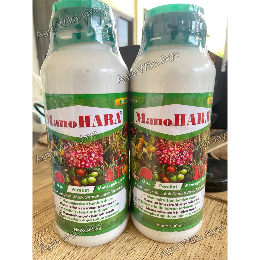 Jual Manohara Hijau Pupuk Daun Manohara Pertumbuhan | Shopee Indonesia